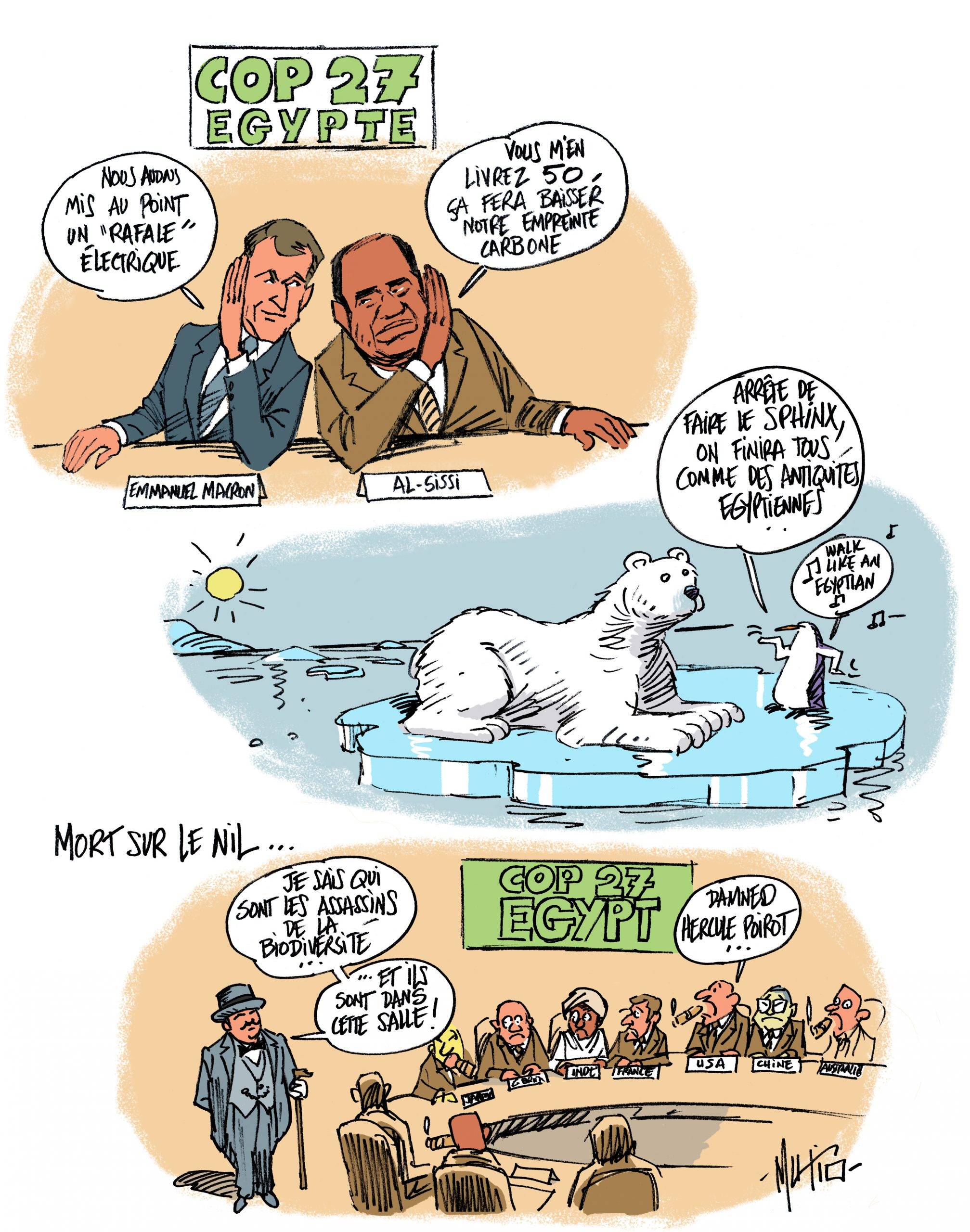 Cop 27 en Égypte - liti.fr