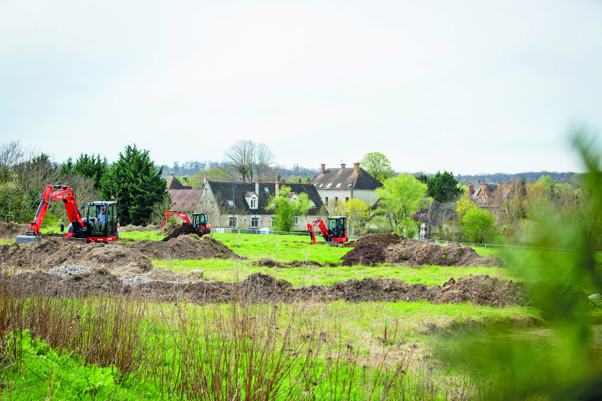 Montesson : arboretum - liti.fr